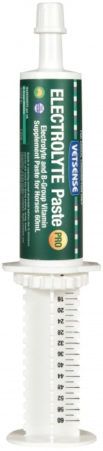 VETSENSE ELECTROLYTE PASTE PRO 60ML - Garrard's Horse and Hound